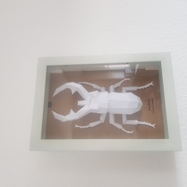 3 Beetles Pack Paper Model,papercraft,diy,low Poly,pdf Papercraft ...