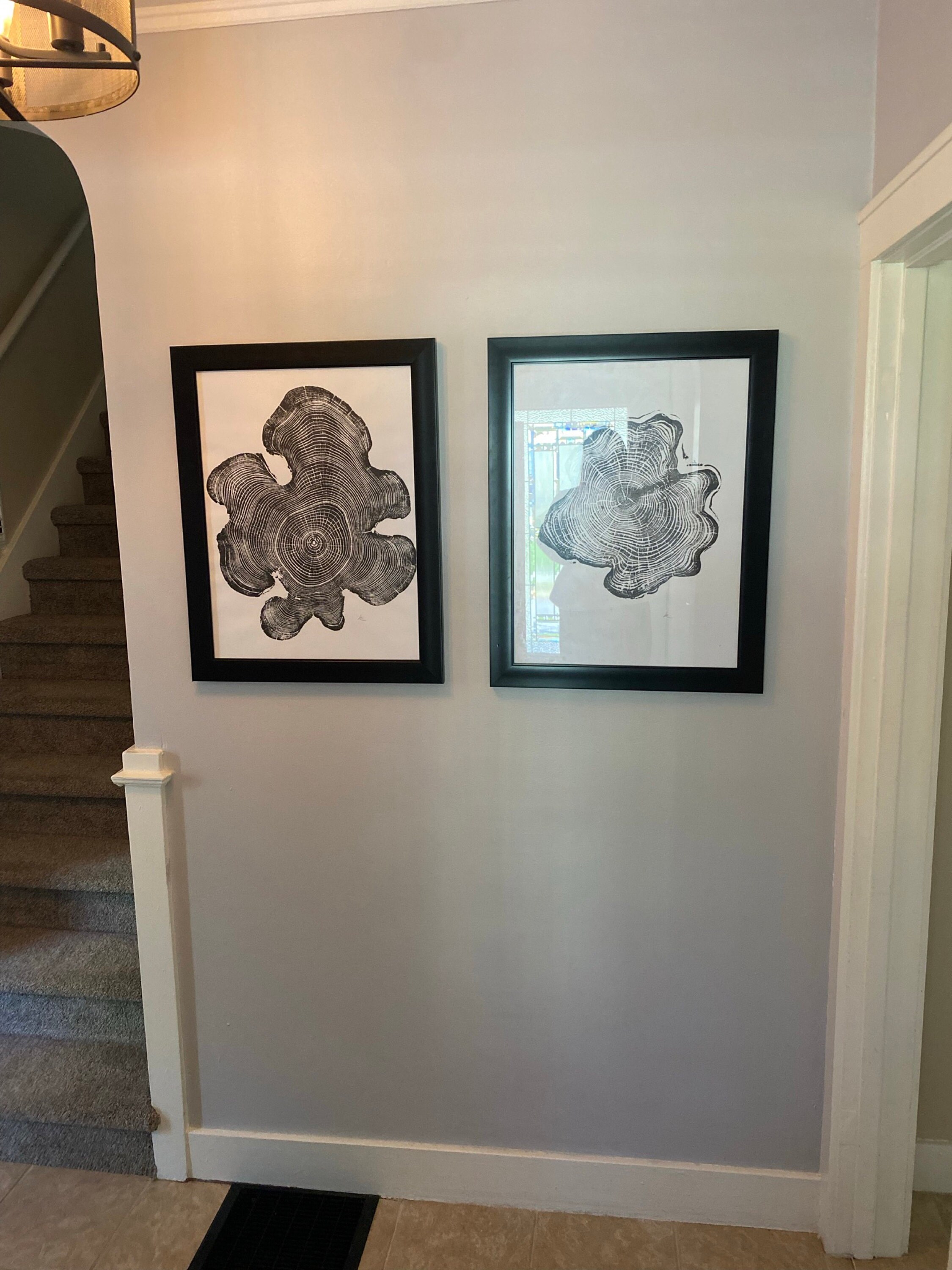 Alaskan Cypress Tree, Tree ring art print, Woodcut art, Tree ring Art ...