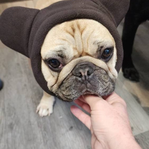Frenchiestore Organic Dog Frenchie Ear Warmers | Brown Brindle Frenchie ...