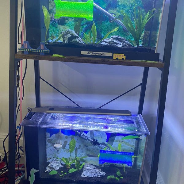 Seeshelter® Brand Betta Tunnel "gemstone Collection" - 11 Colors ...