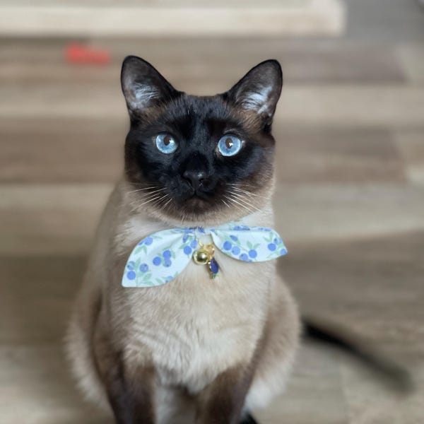 Navy Blue Bow Cat Collar With Silver Bell - Fancy Cat Collar for Pet ...