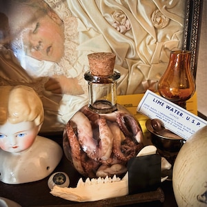 Vintage Medical Encyclopedia Dictionary Pages With Anatomy ...