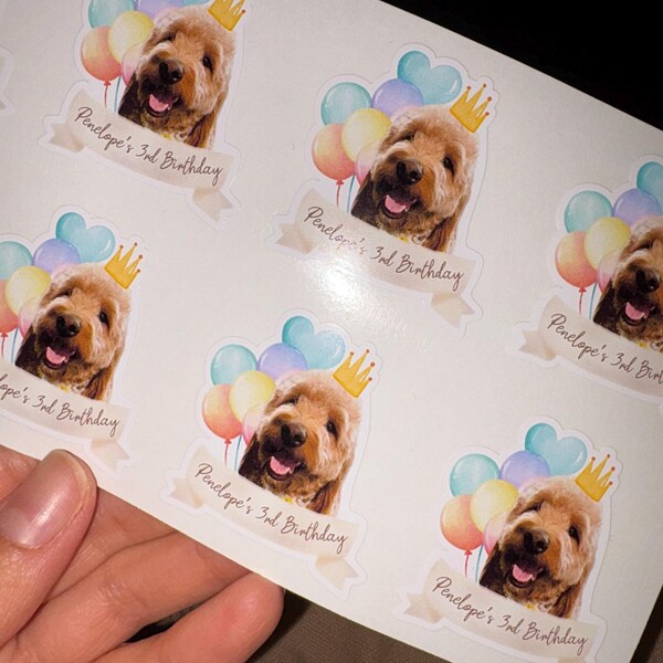 Birthday Sticker｜personalized Birthday Sticker｜custom Kid Birthday ...