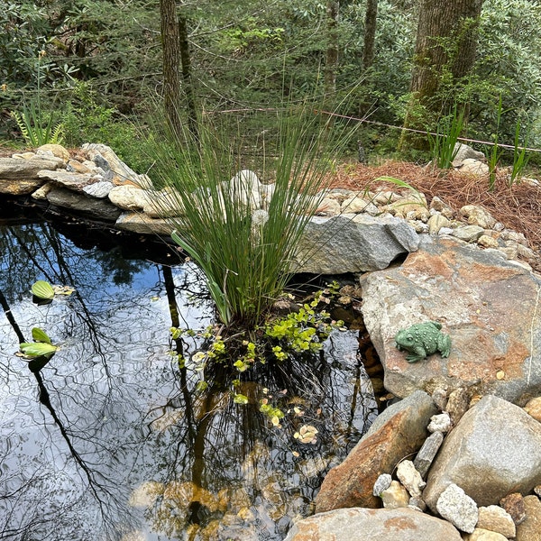 Warty Frog, Toad, Little Frog Prince, Frog Statue, Concrete, Stone Frog ...