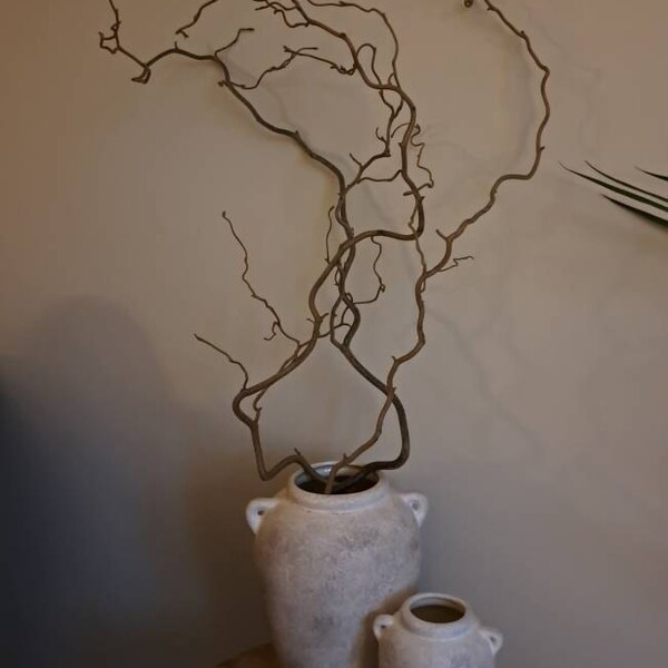 Contorted Hazel Corylus Branch Curly Twigs for Tabletop Vase Corkscrew ...