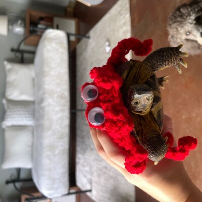 Crab Inspired Crochet Costume for Turtles/ Tortoises - Etsy