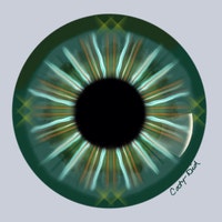 Exotic Eye Color Palette for Procreate Portrait Color - Etsy Canada