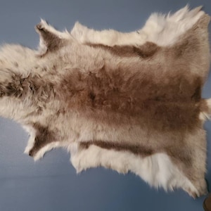 Goat Skin Exclusive 98 X 80 Cm Genuine Hide Rug Goatskin Pelt Leather ...