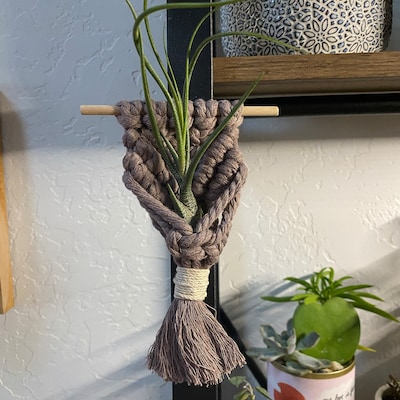 Magnetic Air Plant Holder - Etsy