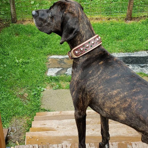 Wide 2 Inch Luxury Soft Padded Leather Dog Collar for Large Dogs ...