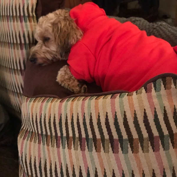 Red Dog Hoodie - Red Dog Sweater - Red Dog Jumper - Dog/puppy Clothing ...