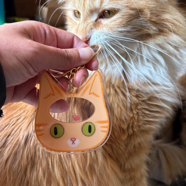 Biting Kitty Clips - Cat Journaling Clips - Cat Chip Clips - MAGNET ...