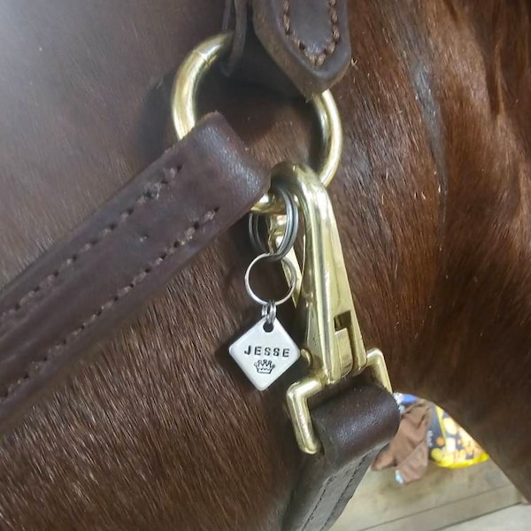 Custom Horse Name Tag: Aluminum Bridle Tag With Picture Stamp - Etsy