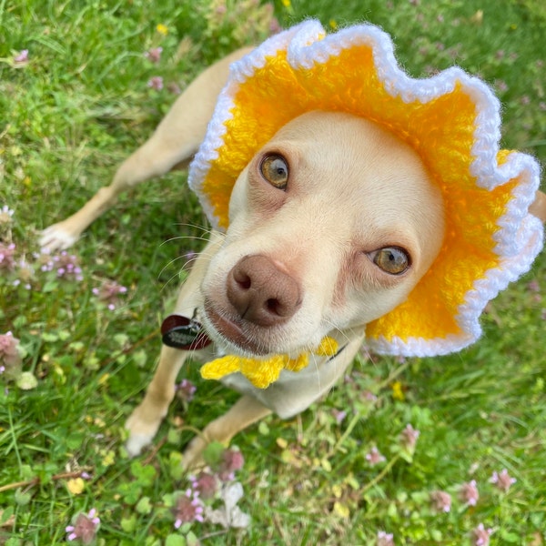 Cute Sun Bucket Flower Hat With Ruffles Small Pet Pattern, Dog Cat ...