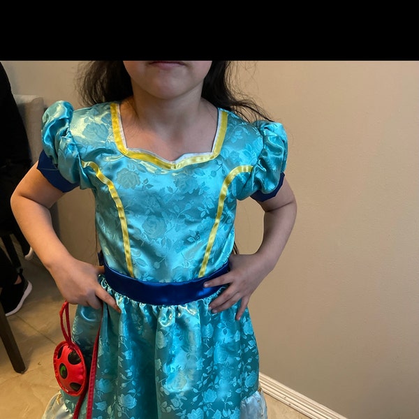 Princess Isabel of Avalor Halloween Costume or Birthday Party Dress - Etsy