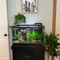 Halloween Witch Witches Chant Shakespeare Macbeth Printable Print ...