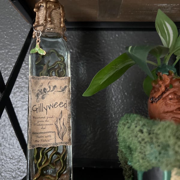 Felix Felicis Labels | DIGITAL Item | Liquid Luck Potion Favor Jar ...