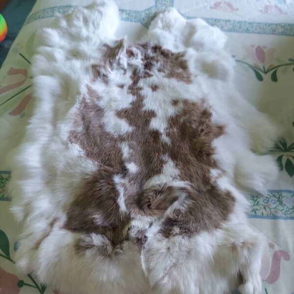 Lot of 4 Assorted Rabbit Hides as Shown Natural Rabbit Fur No. 180228 ...