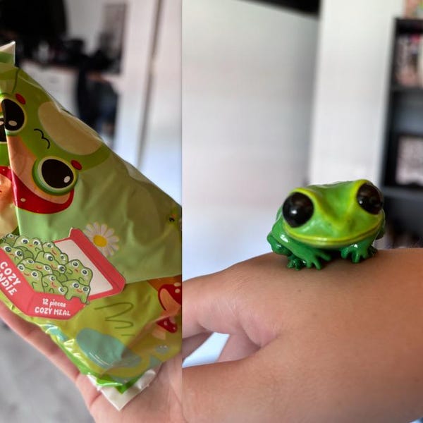 Sad Avocado Realistic Black Rain Frog Friend Deskpal - Etsy Canada