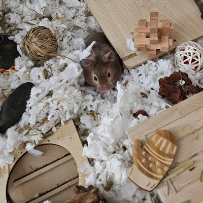 Hamster Tunnel/ Hamster Cave Hideout/ Chamber Rooms/ Hamster Digging ...