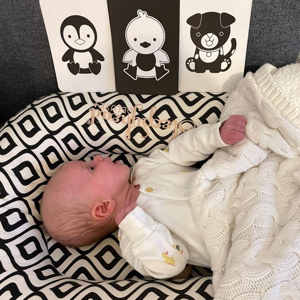 24 Design Baby Sensory Development Flash Cards Object Set High Contrast ...