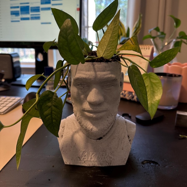 Travis Scott Succulent Planter Pot, Unique Celebrity Face Plant Holder ...