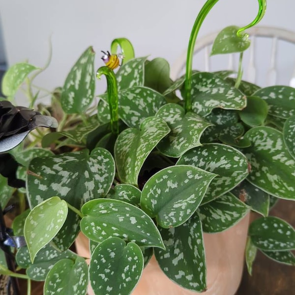 Large Glass Plant, Glass Flower, Glass Garden Art, Blown Garden, Glass ...