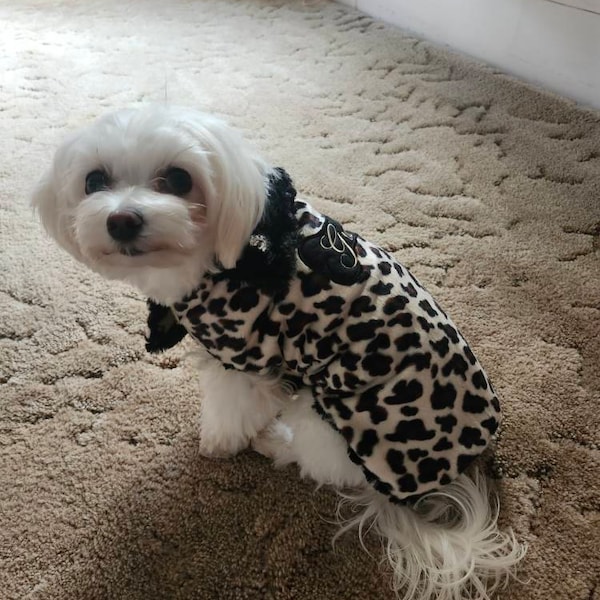 Handmade Luxurious Personalized Bone Fur Coat for Dogs With Tailoring ...