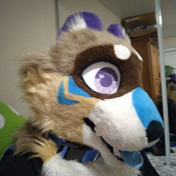 Pride Flags Fursuit Collar - Etsy