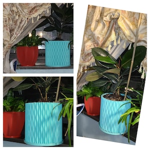 Planter Pot With Drainage Pear Green Fractal Design for Small - Etsy