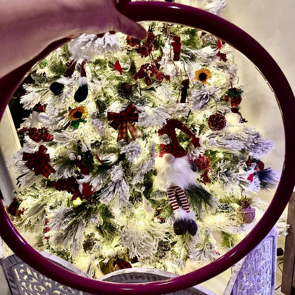 Aerial Trapeze Static, Circus Trapeze Static, Home Acrobatic Props ...