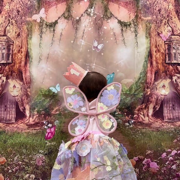 Adult Extra Large Floral Embroidery Fairy Wings Hand Crafted High ...