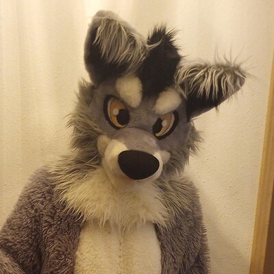 Fennec Fox Fursuit Partial, Fox Fursuit Head, Premade Fursuit - Etsy