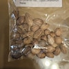 35 Cinnamon Tree Seeds Cinnamomum Verum Fast Growing True Ceylon ...