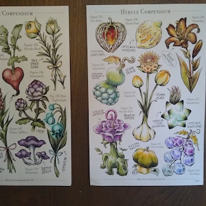 Hyrule Compendium Tears of the Kingdom Breath of the Wild Botanical ...