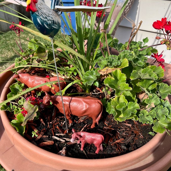 Little Buster Farm Animals - Got Show Cattle - Etsy