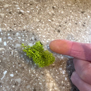 Moss Shoe Planters-shoe Baskets-moss Shoe-moss Boot-moss Planters-moss ...