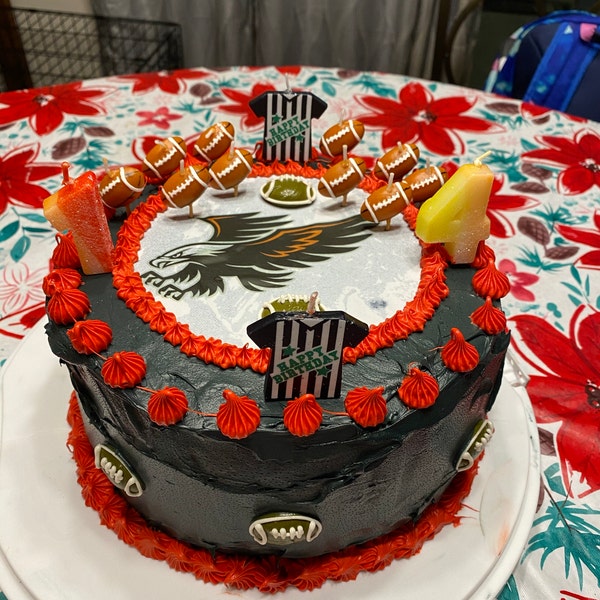 Falcons / Hawks Mascot Birthday ~ Edible 2D Fondant Birthday Cake ...