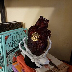 Realistic Heart-shaped Box 2 Styles Anatomical Heart - Etsy