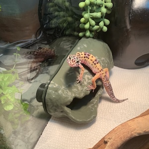 LC Racing Wheelie Bar Set Ball Bearing / Emb-1 Emb-t Tacon Soar Bulwalk ...