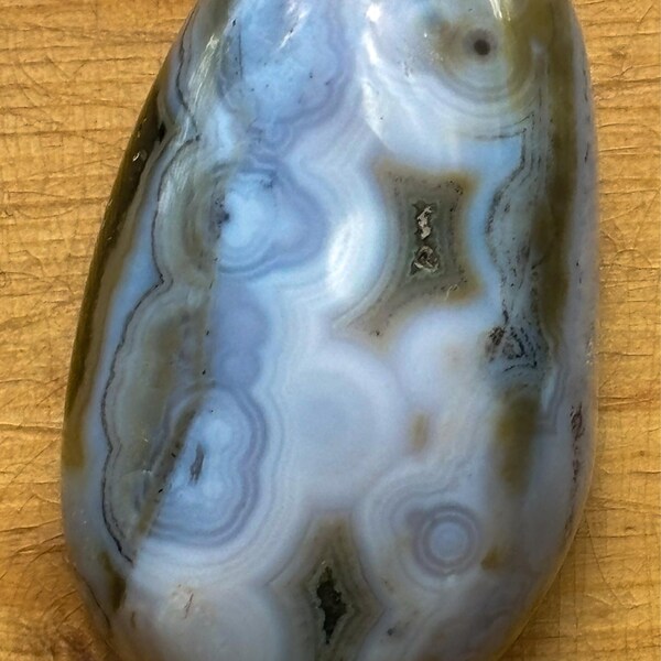 Dinosaur Fossil Tooth Pendant Mosasaurus Tooth Pendant Fossil Tooth ...