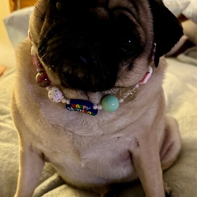 Retro Pug Specialty Pug Bead Necklace - Etsy