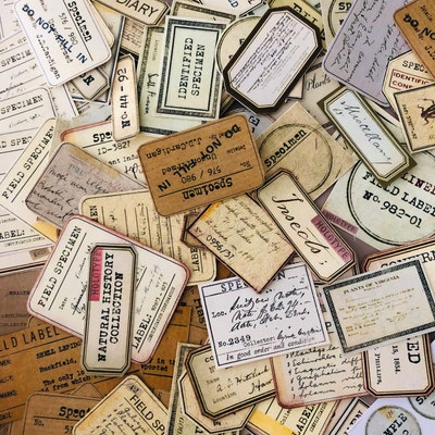 Random Sciency Labels SET 2 DIGI20 53: Specimen, Identification, Labels ...