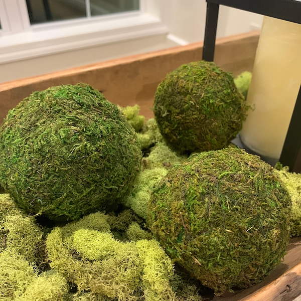 Moss Balls-decorative Sphere Orb for Vase Bowl Fillers or Dough Bowl ...