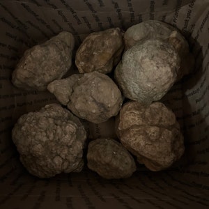 8lbs of Carthage TN Unopened Geodes/agates/nodules Lapidary Break or ...