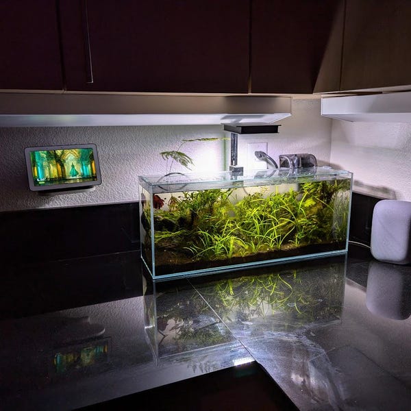 Wall Control - Milwaukee Precision Drivers - Etsy