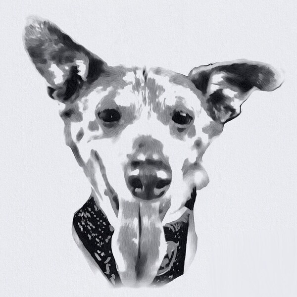 Skeleton Hands SVG PNG Bundle Halloween Svg Ring Finger Svg Spooky Svg ...