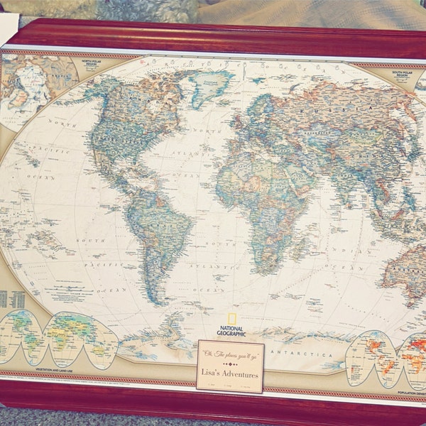 CANVAS Personalized Executive World Travel Map -push Pin Travel Map ...