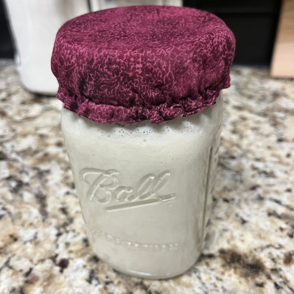 Reversible Washable Single Cotton Fabric Jar Cover: Sustainable Mason ...
