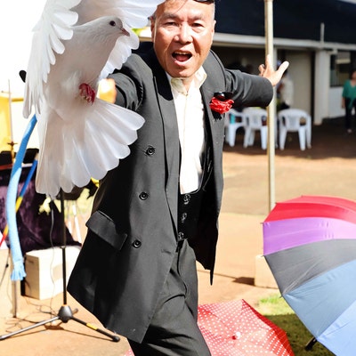 Dove Overlays, Pigeon Overlays, Wedding, Doves, Overlay, Birds ...